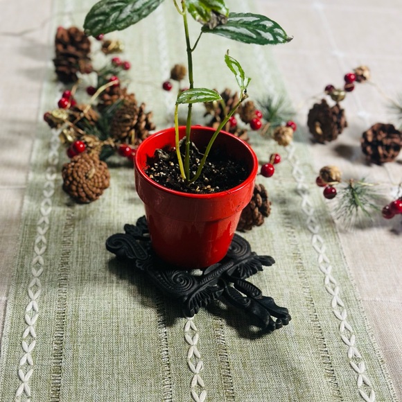 Kitchen | 1948 Vintage Wilton Cast Iron Footed Trivetplant Stand Flower ...